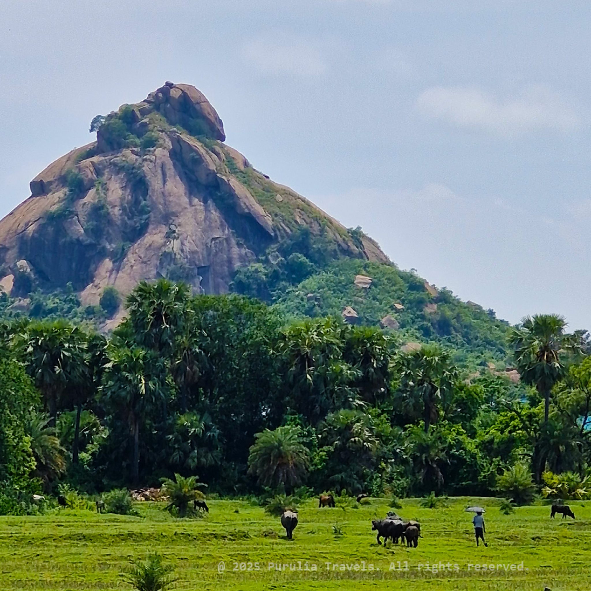 Joychandi Pahar - Purulia Travels